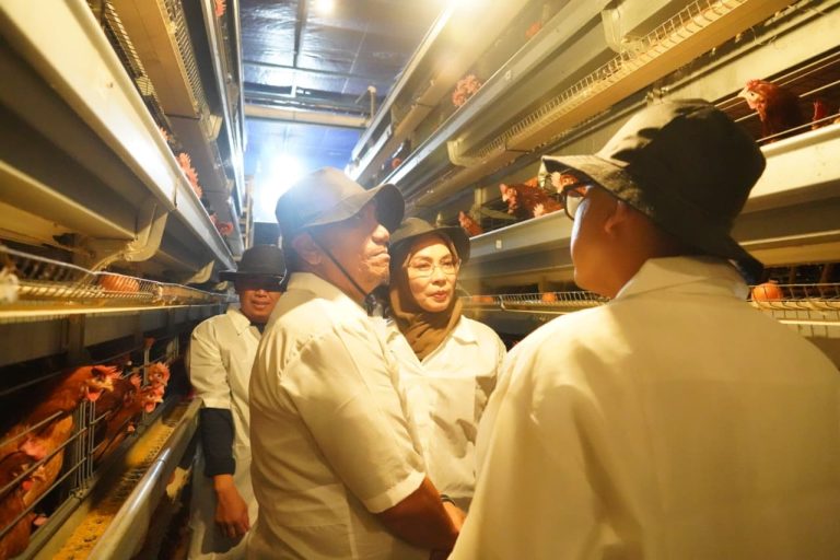 Peternakan Ayam Terbesar di Blitar Jadi Tempat Belajar Rombongan Pandu ...